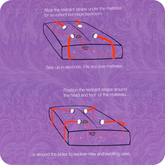 Sport Sheets Under the Bed Restraint System - The Perfect Bondage ...
